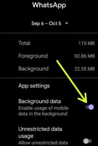 How to restrict data usage on Android 10: 2 Methods
