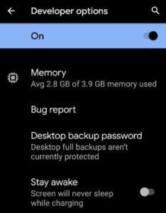 How to enable and disable developer options Pixel 4 XL and Pixel 4