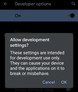How to enable and disable developer options Pixel 4 XL and Pixel 4
