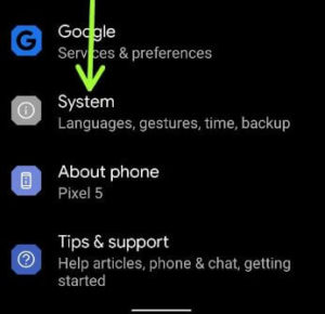 How to Enable Developer Options in Pixel 5