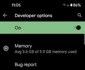 How to Enable Developer Options in Pixel 5